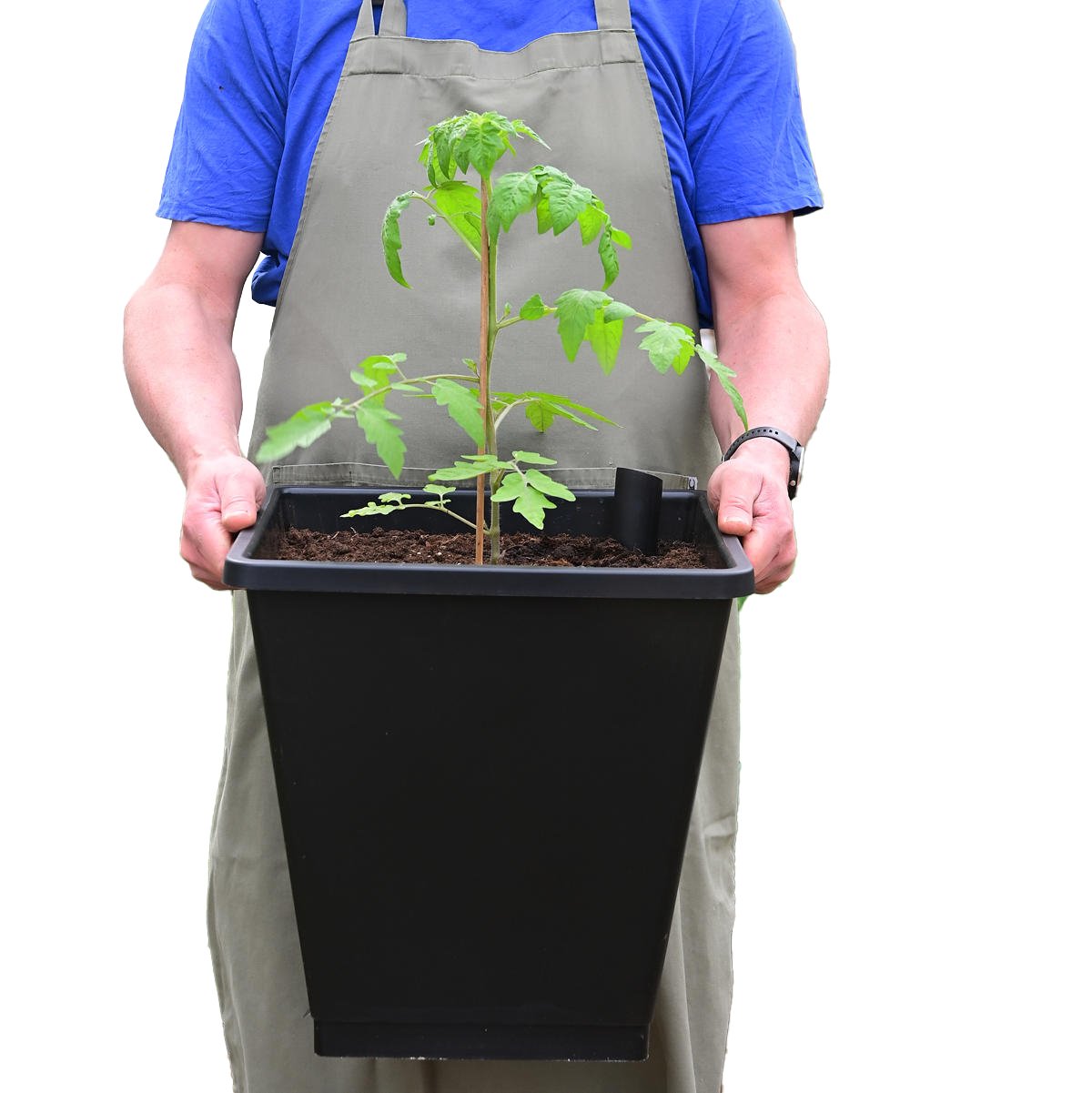 Claus Dalby Selvvandings-/kapillærpotte B: 40 cm H: 40 cm | Claus Dalby