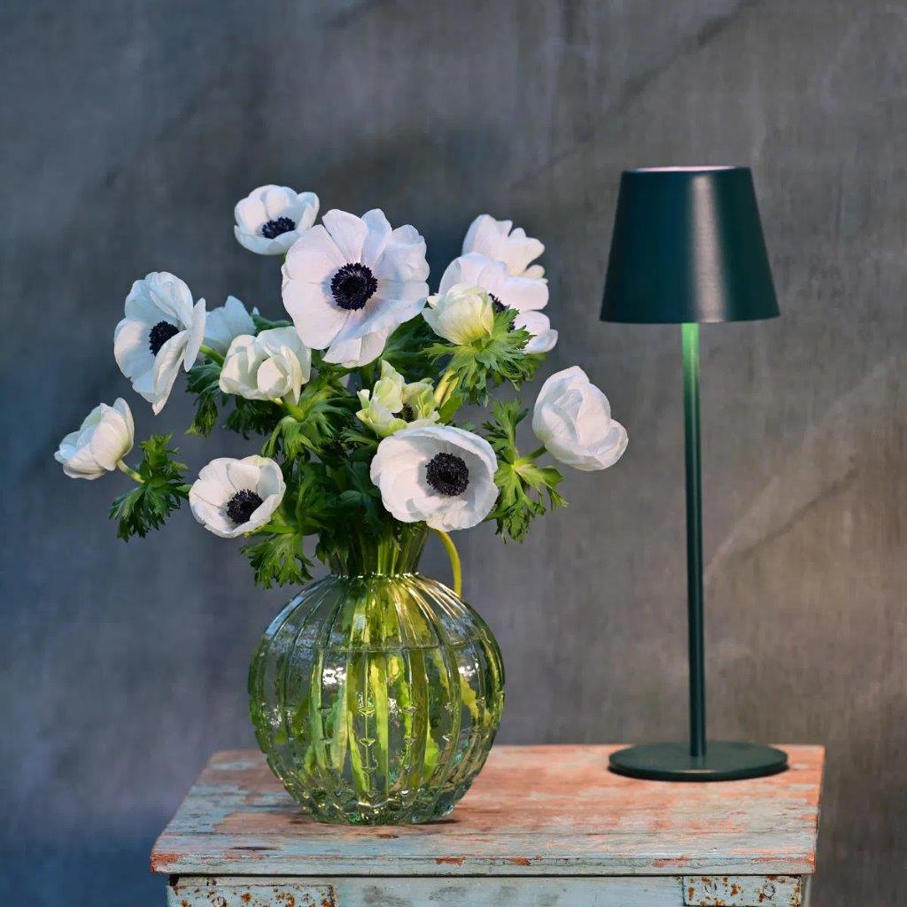 Populære kategorier | Claus Dalby webshop