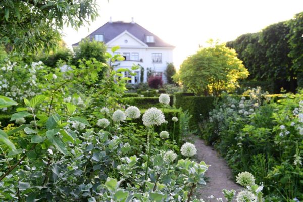 About me | Claus Dalby (EN)