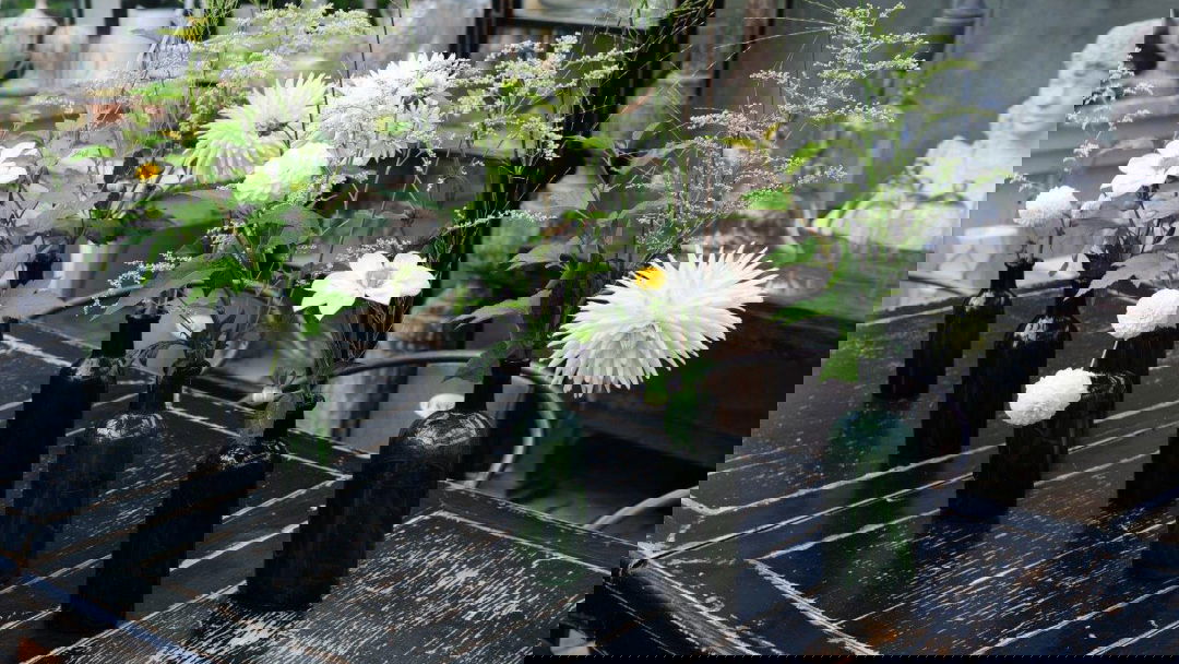 About me | Claus Dalby (EN)